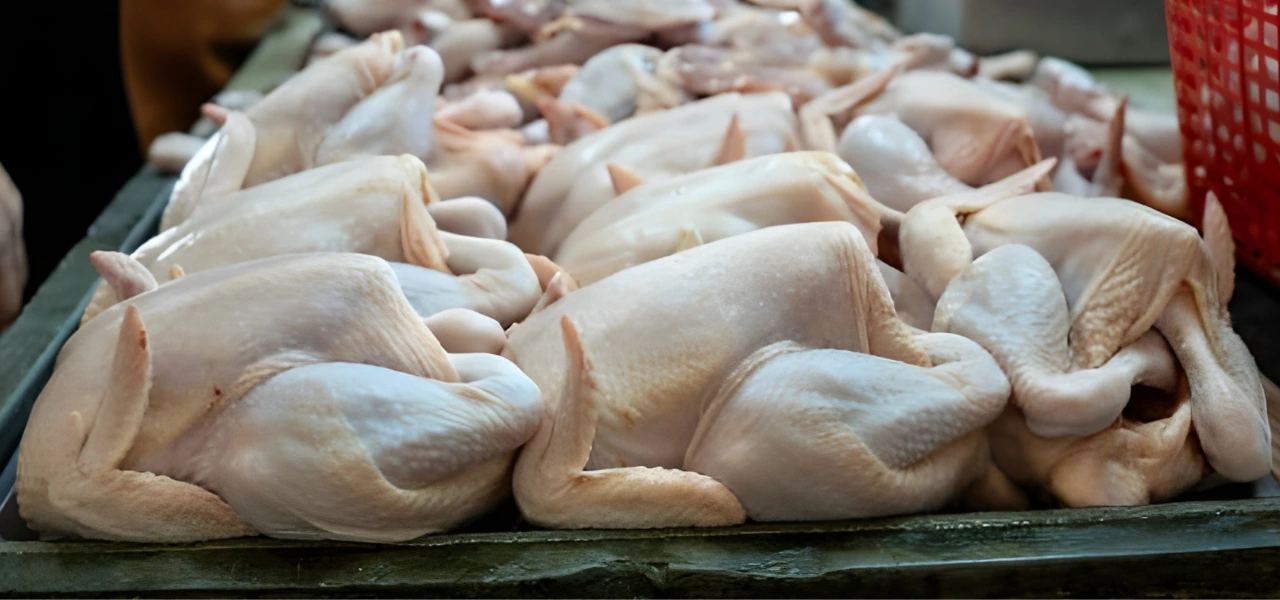 Order fresh chicken supply in Lalazar Estate Rawalpindi